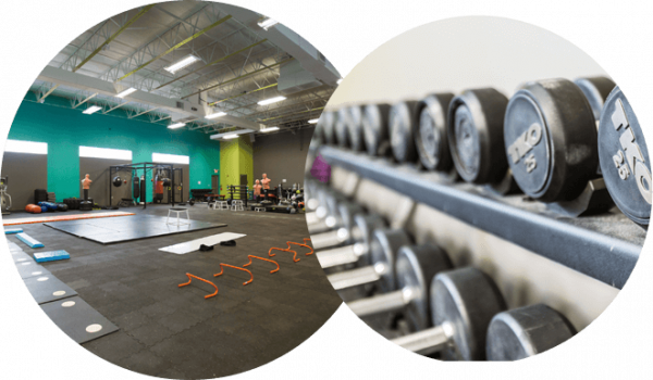 Muscle Debility Recovery in McAllen - Xcell Orthopaedics Physical Therapy