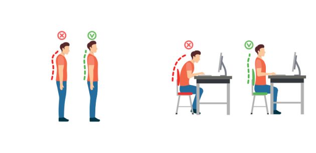 How to Fix Your Posture? The Professional's Guide